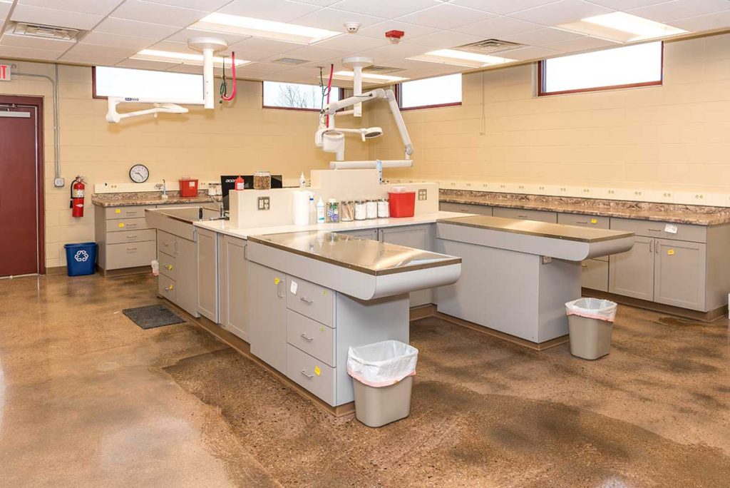 Passion for Paws Veterinary Clinic – Madison Veterinary, Boarding ...